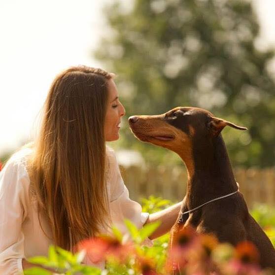 Membership | Doberman Pinscher Club of America